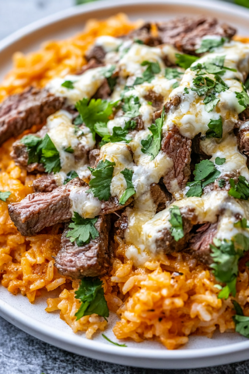 Steak & Queso Rice - That Oven Feelin